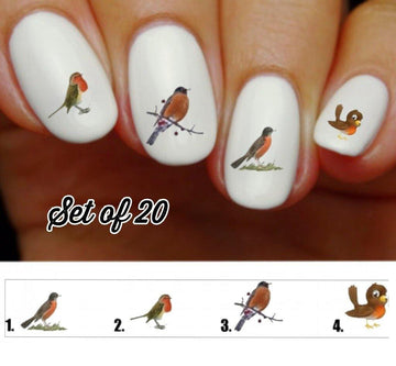 Birds – Nails Creations